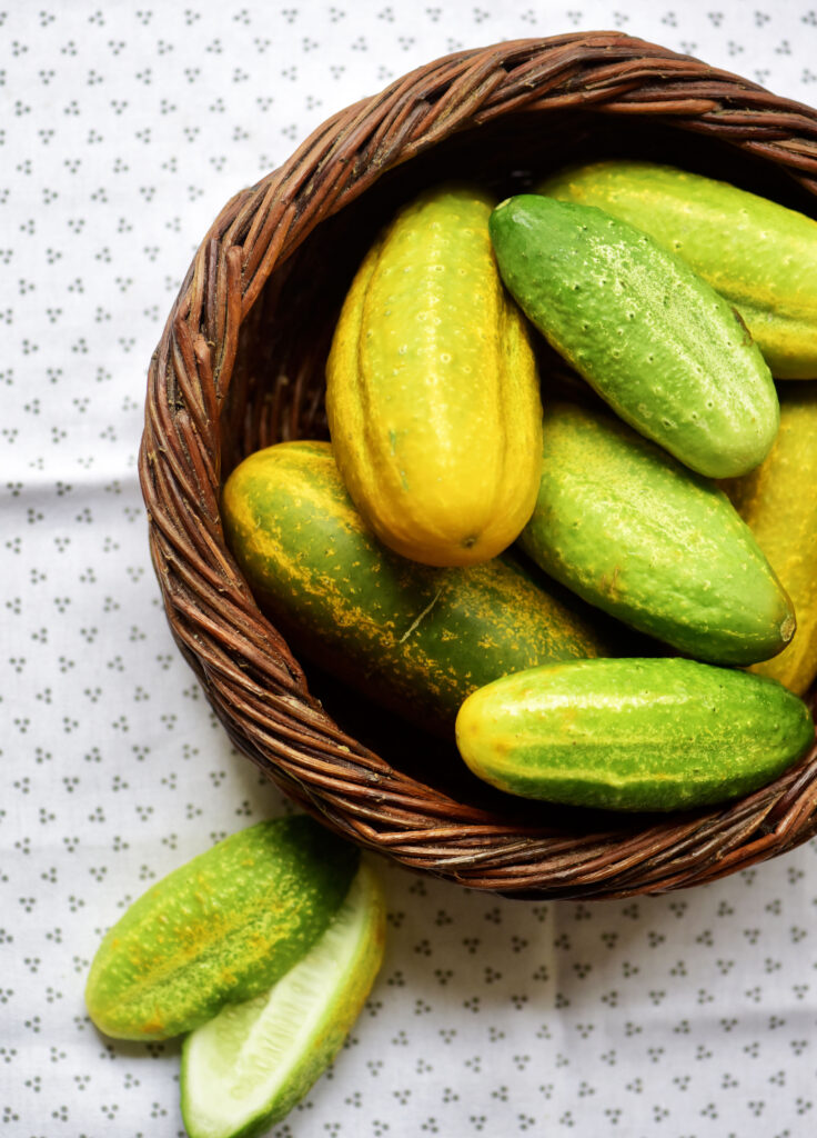 fra grov agurk til gourmetsalat – Kirstenskaarup.dk